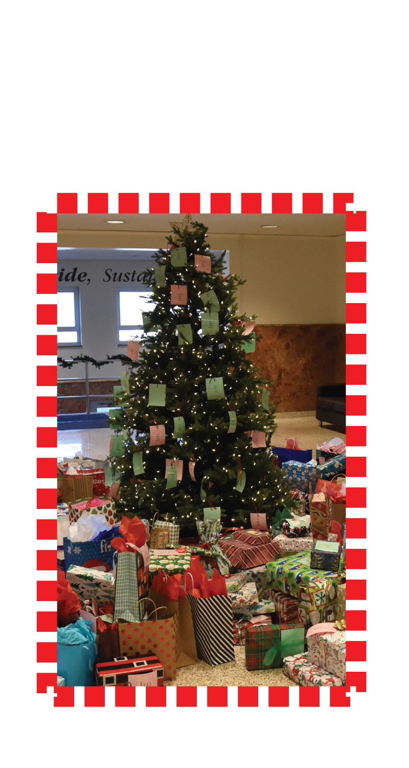 Home test - alterhs.org